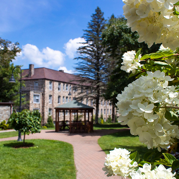 Lees-McRae College | Your Future Elevated